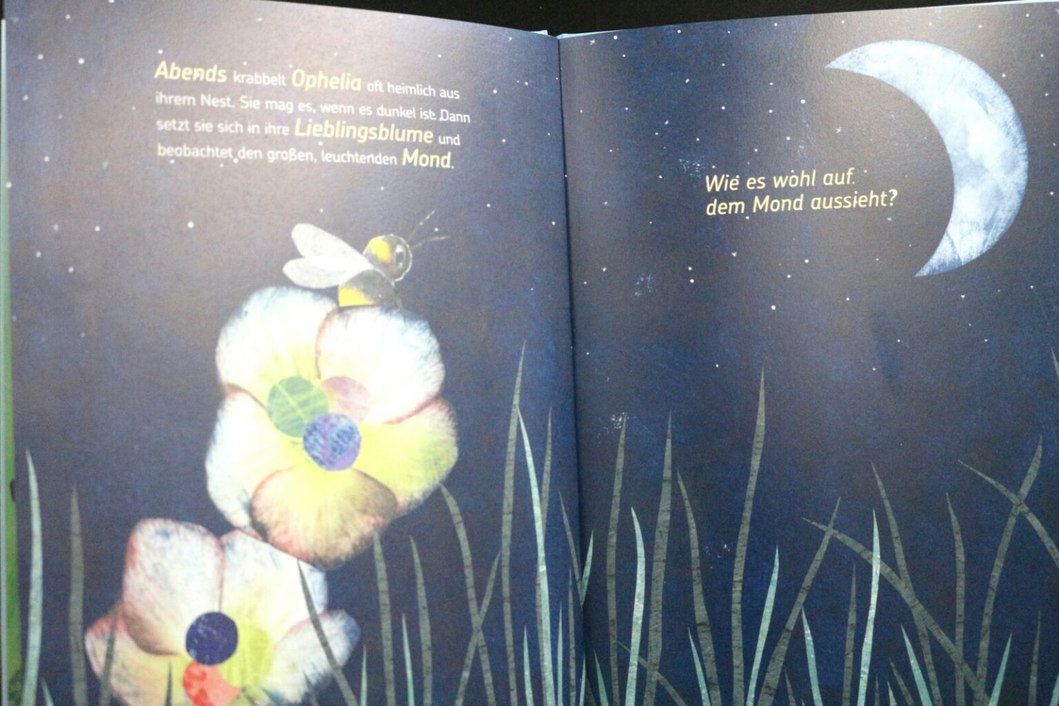 "Hört niemals auf zu träumen!" oder "Ophelia träumt vom Mond" von ...